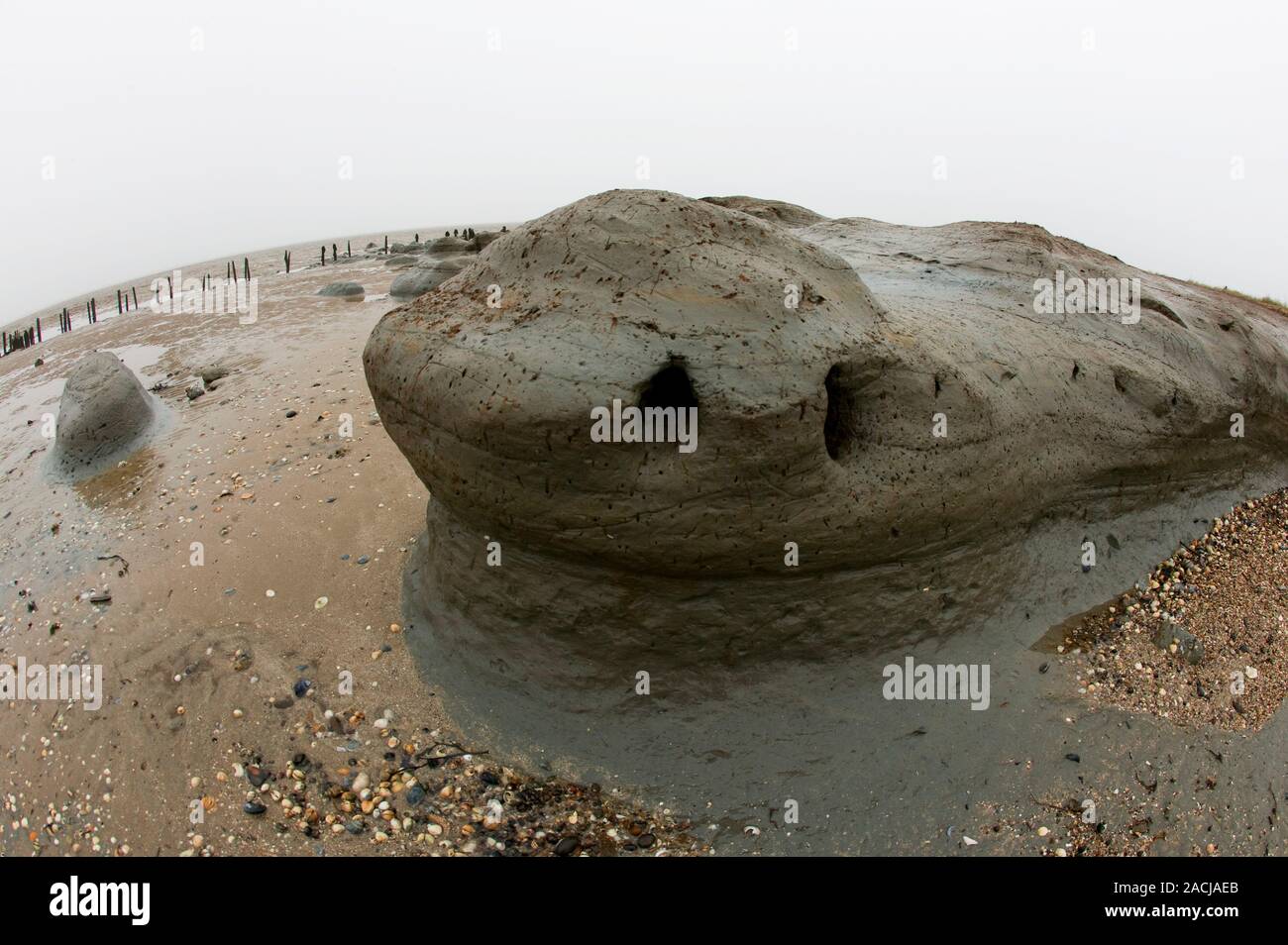 Coastal boulder clay. Foreshore of post glacial boulder clay exposed by ...