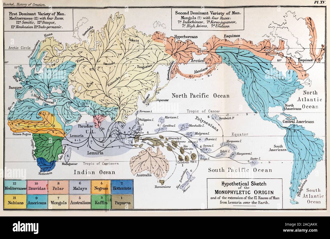 Frontis plate with illustration from Ernst Haeckel The History of ...