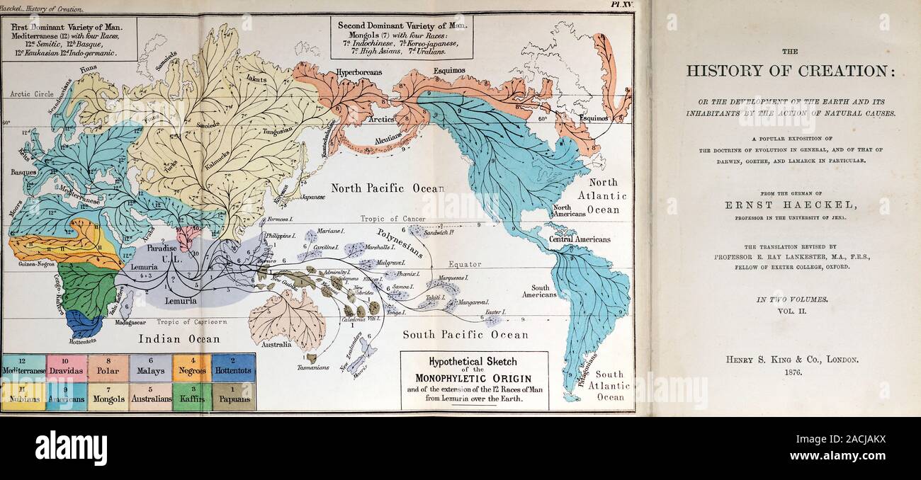 Frontis plate with illustration from Ernst Haeckel The History of ...