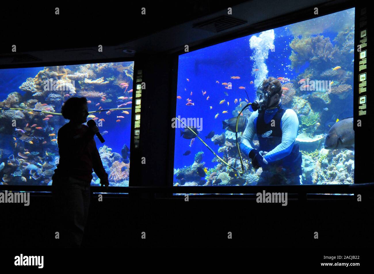 Israel, Eilat, The underwater observatory Built over a coral reef ...