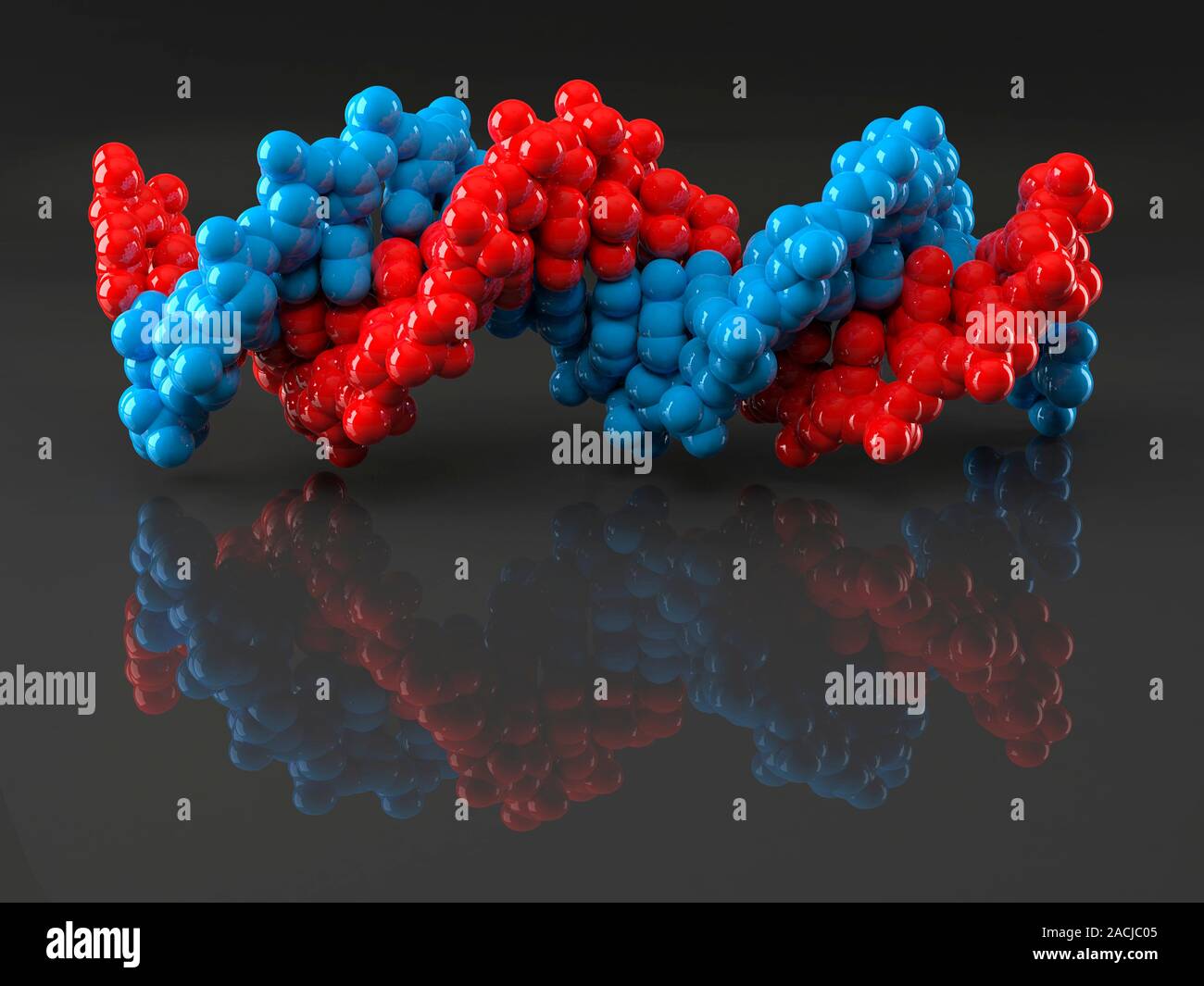 Artwork of a DNA (deoxyribonucleic acid) molecule showing the double ...