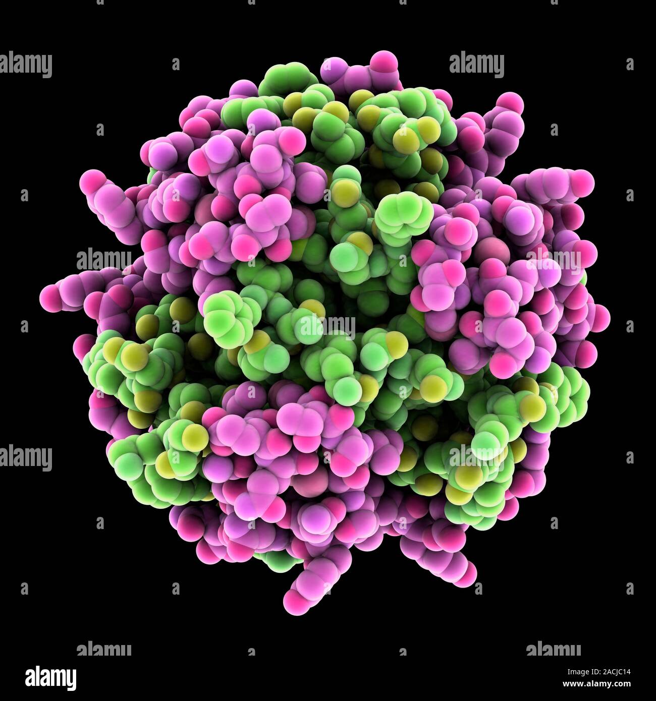 Artwork of a molecule of human insulin, a hormone produced by the ...