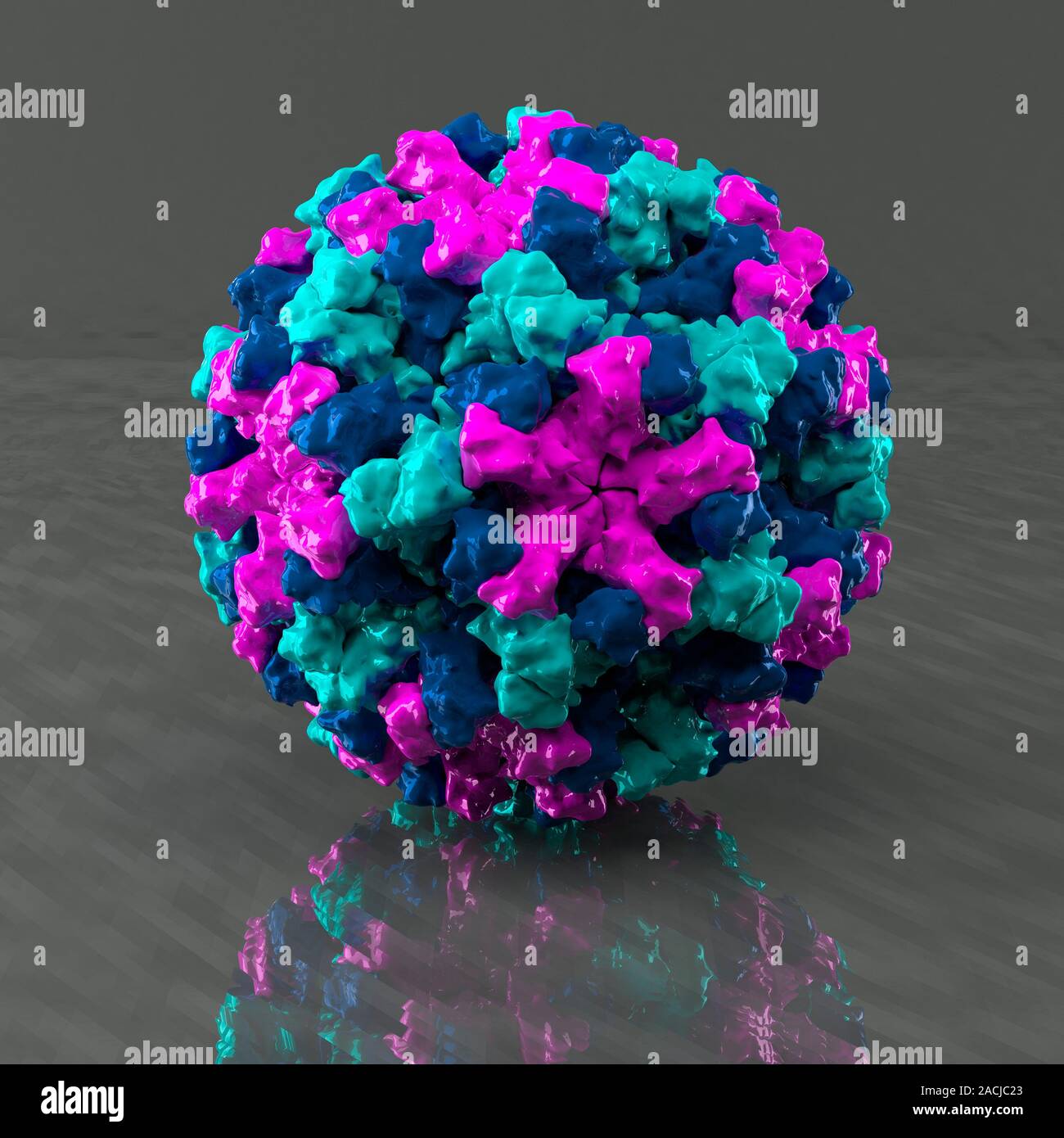Artwork of the Norovirus (previously the Norwalk virus) showing the ...