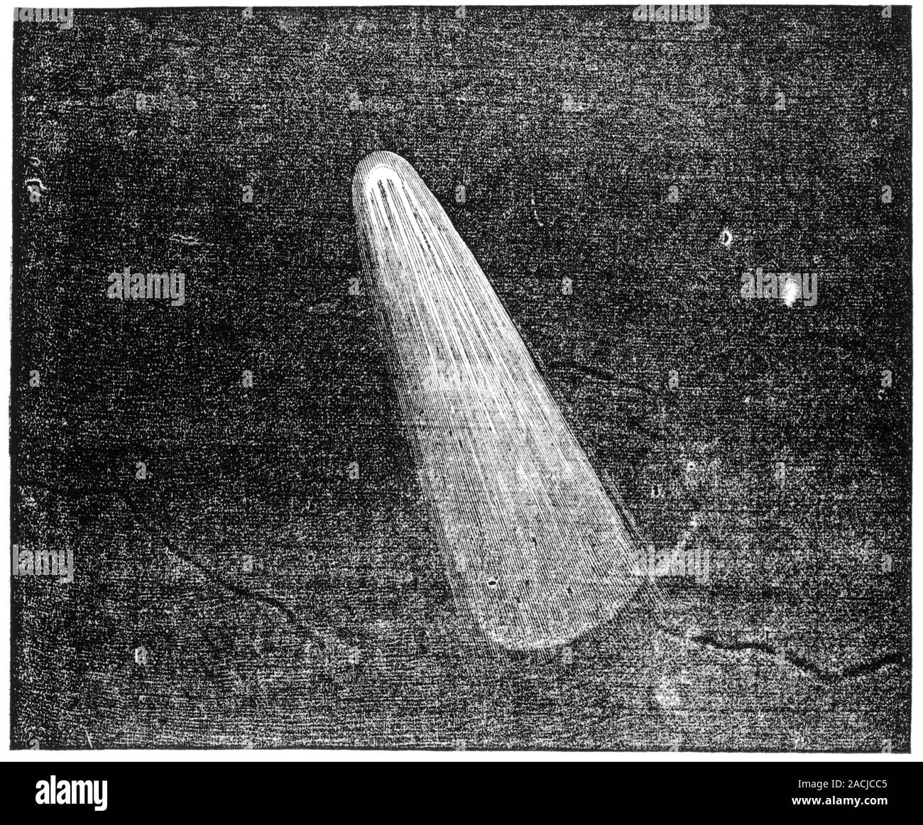 Comet observation, 1844. Comet observed from the observatory in ...