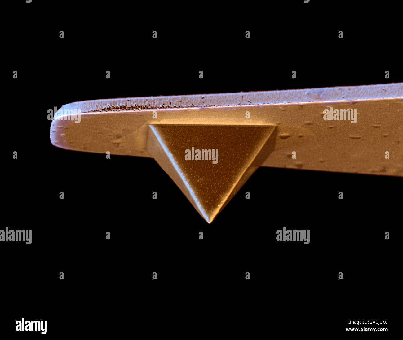 Atomic force microscopy. Coloured scanning electron micrograph (SEM) of ...