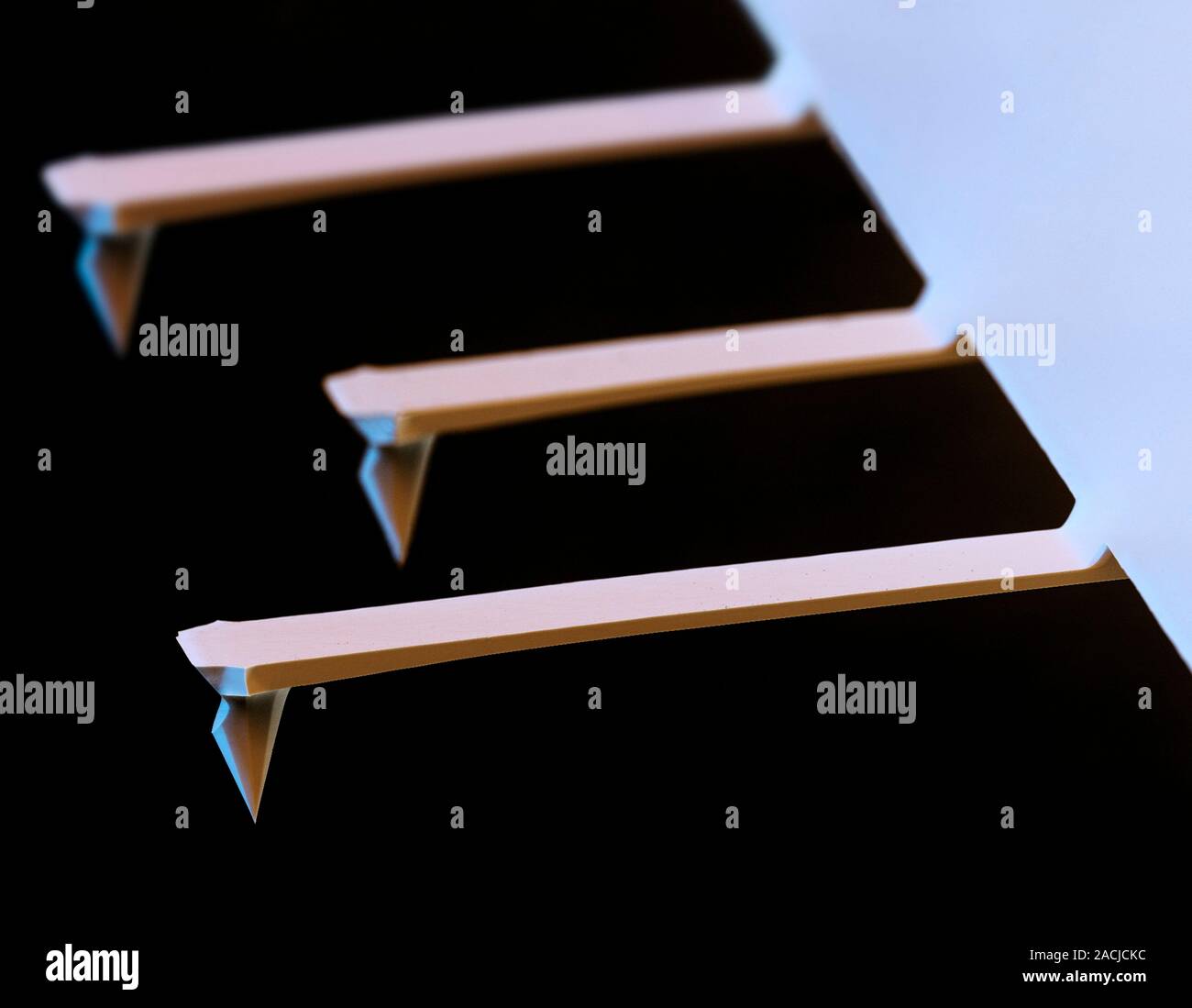 Atomic force microscopy. Coloured scanning electron micrograph (SEM) of ...