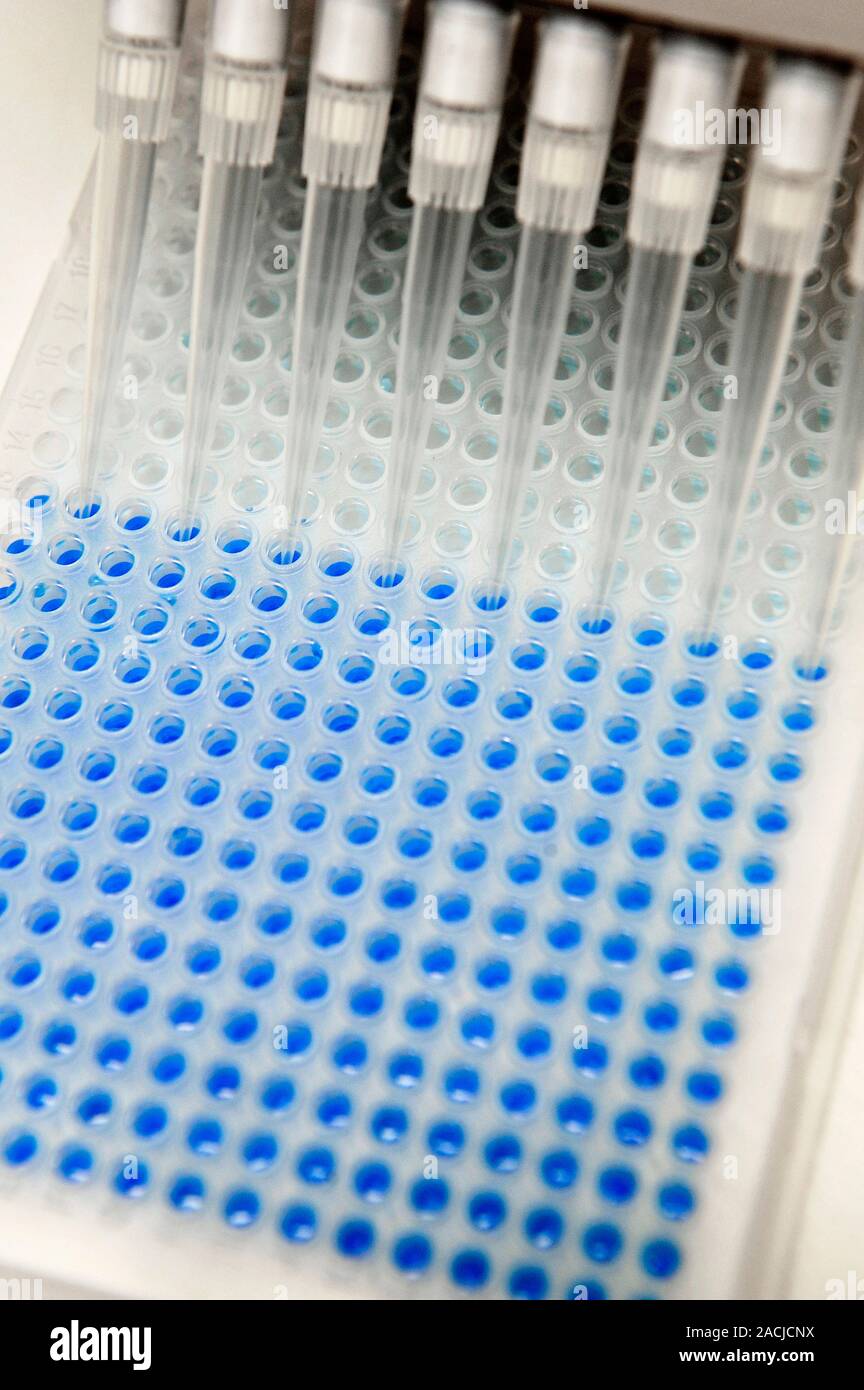 Automated multi-pipette being used in a hospital. This multi-pipette ...