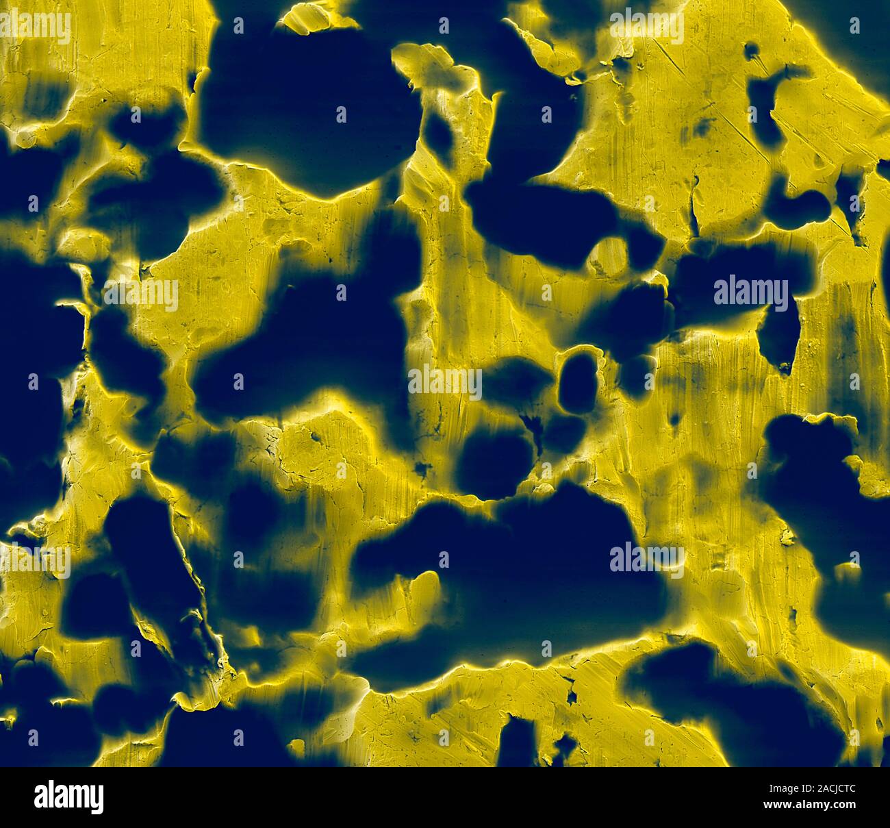 Coated aluminium. Coloured scanning electron micrograph (SEM) of a ...