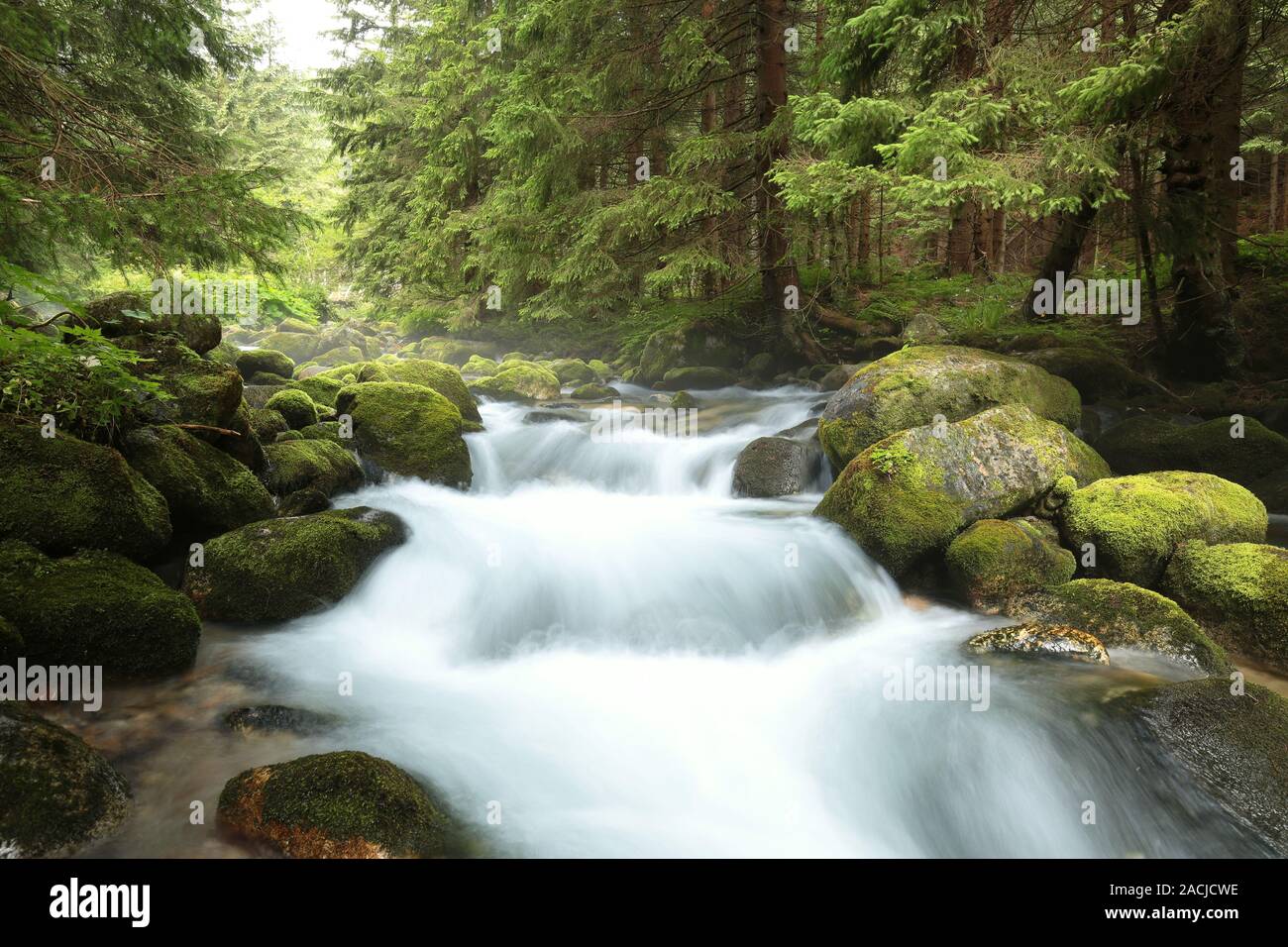Clean water from mountains hi-res stock photography and images - Alamy