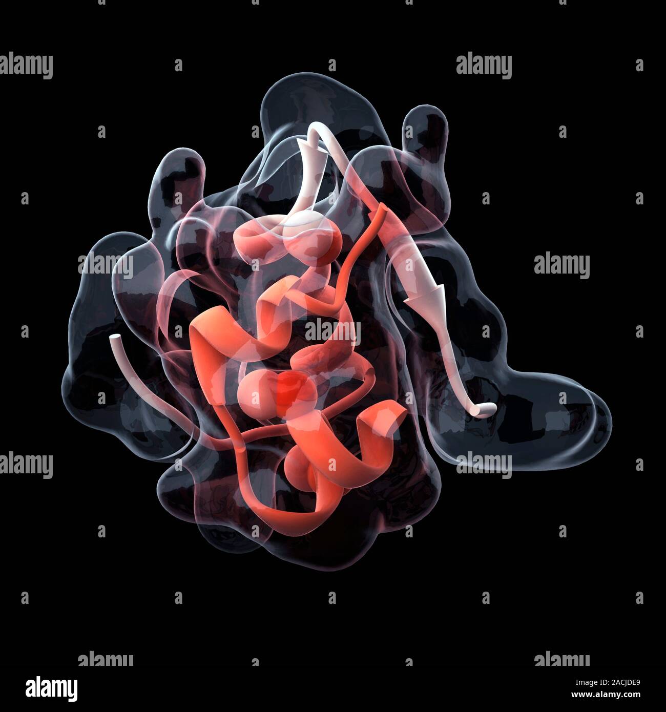 Insulin molecule. Computer model showing the structure of a molecule of ... Insulin molecule. Computer model showing the structure of a molecule of ...