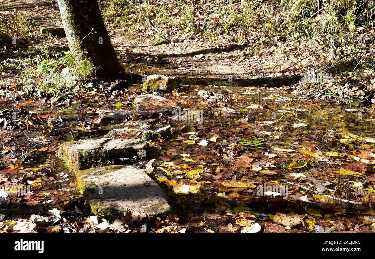 Hiking trail covered with autumn leaves hi-res stock photography and ...