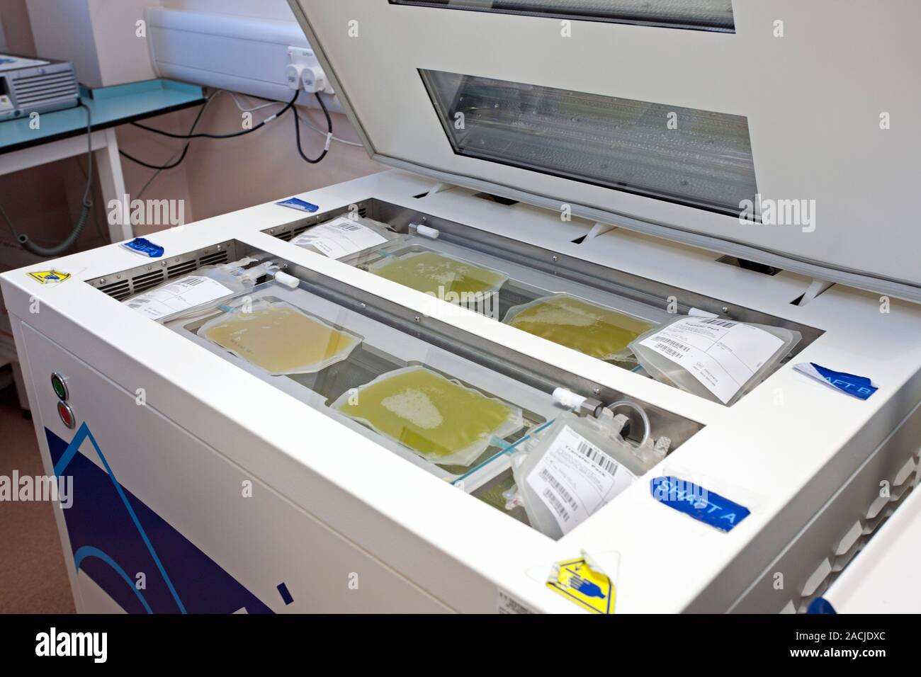 Blood plasma in UV irradiation machine. Bags of blood plasma extracted ...
