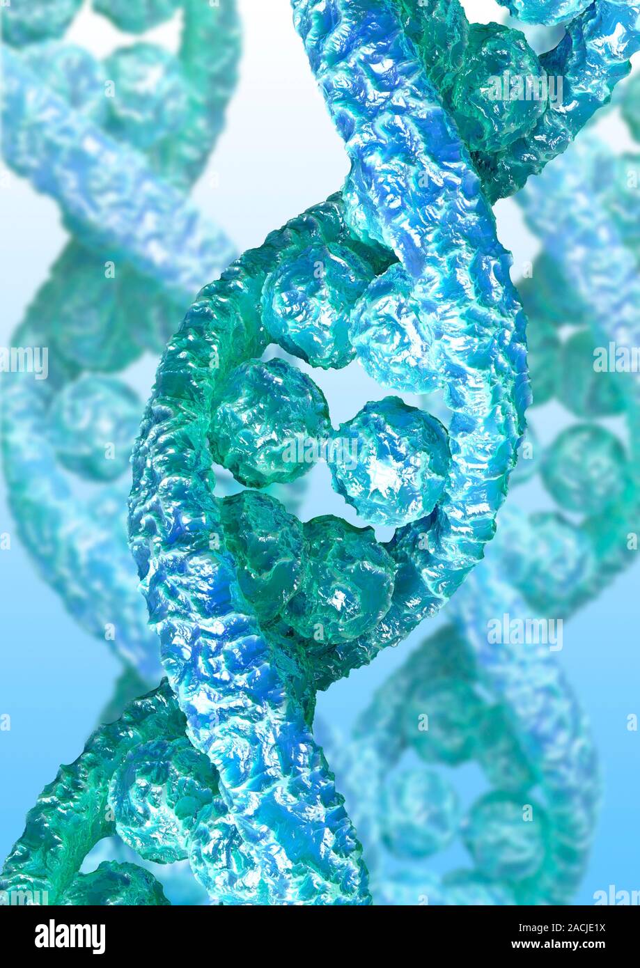 DNA molecule. Computer artwork showing sections of DNA ...