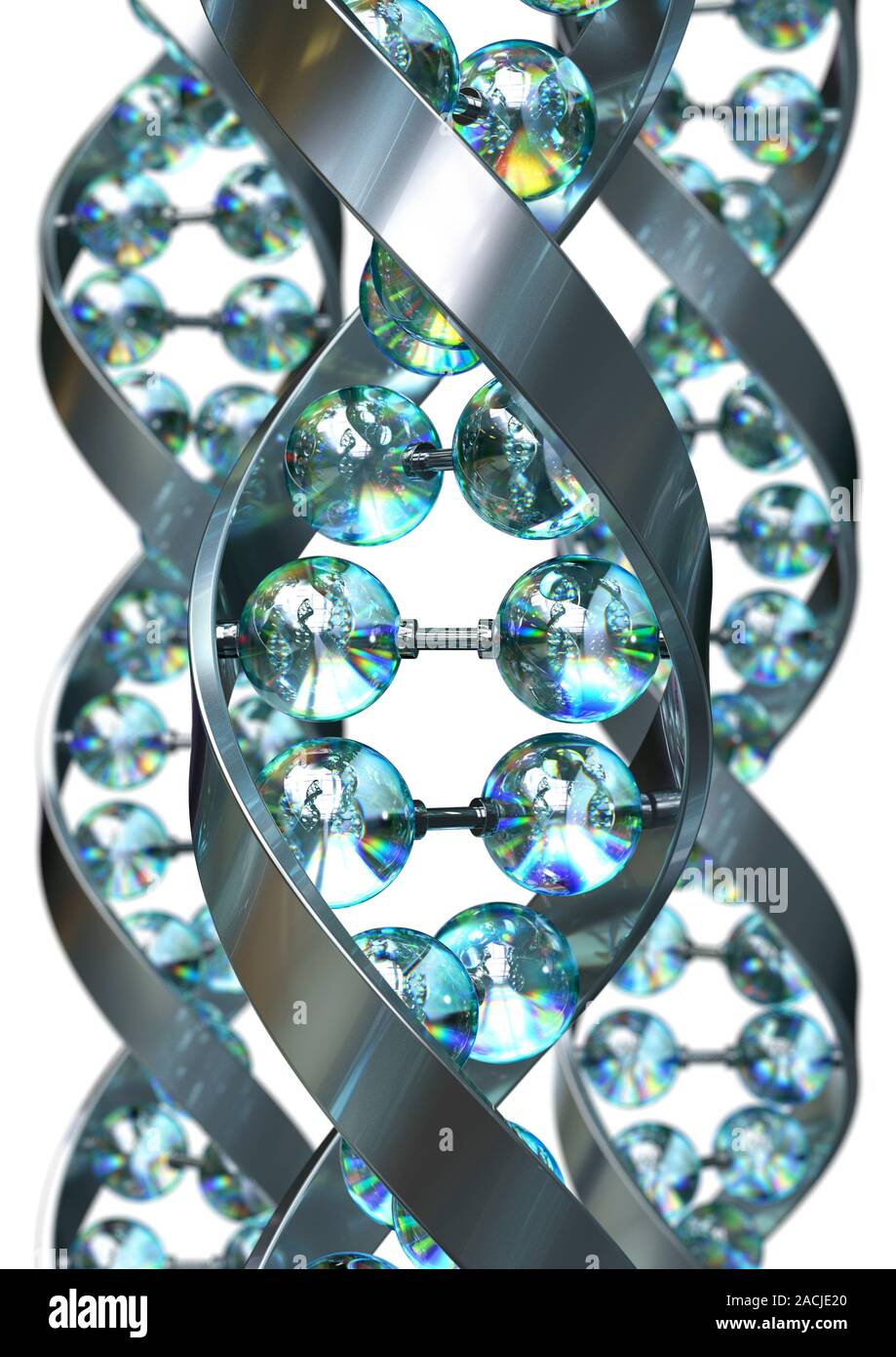 DNA molecule. Computer artwork showing sections of DNA ...