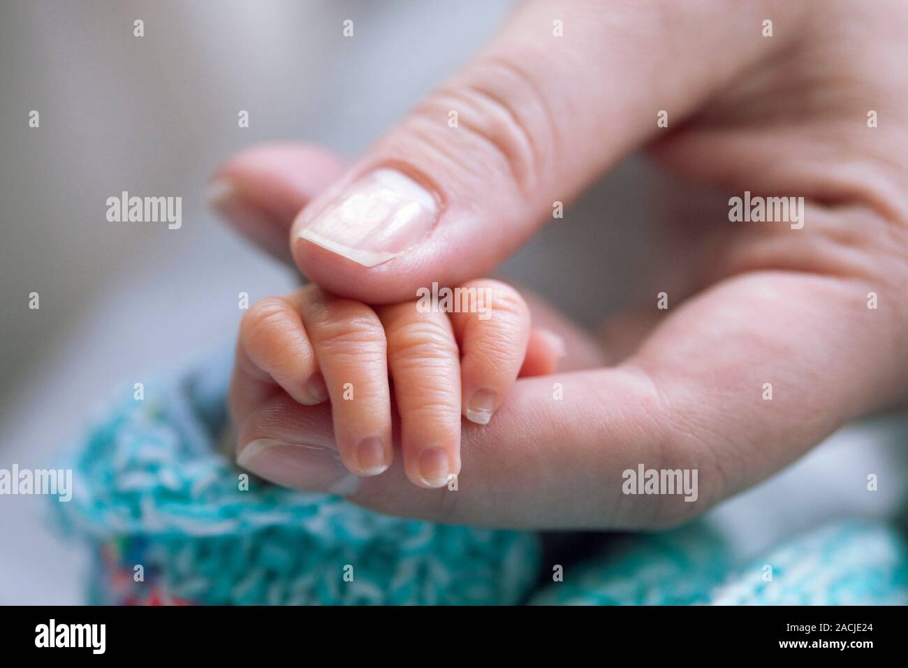 Newborn baby's grip reflex, shown on an adult finger. This automatic ...
