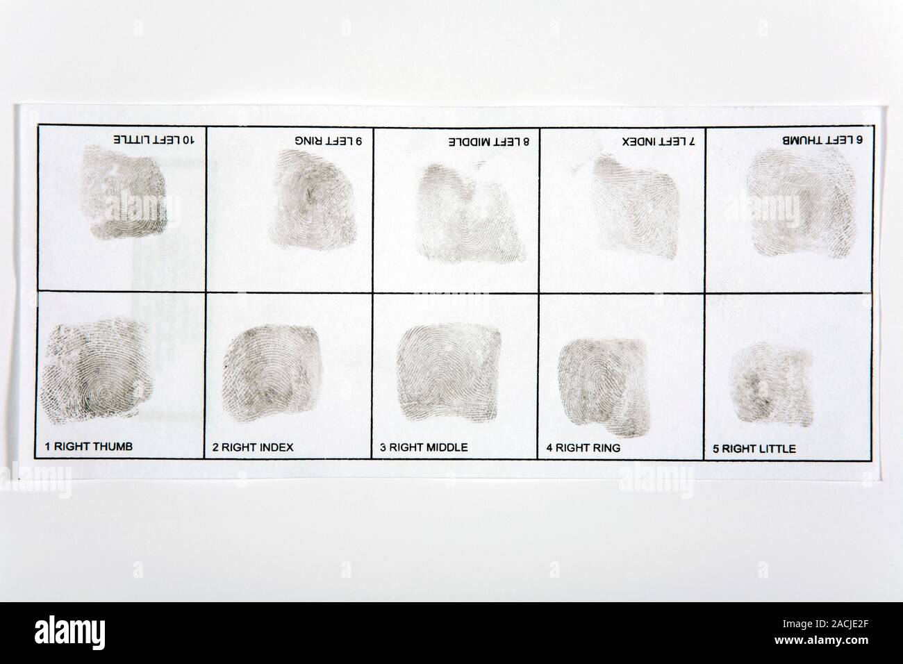 Fingerprint record card. Fingerprints are formed from the ridges on the ...