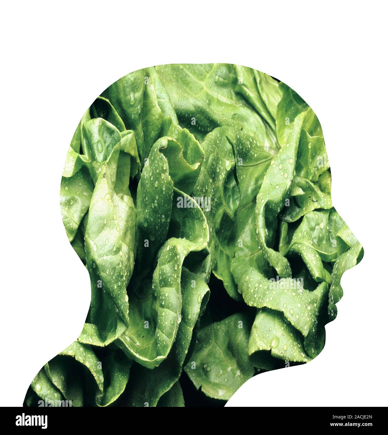 Vegetarianism, conceptual image. Salad leaves inside a human head ...