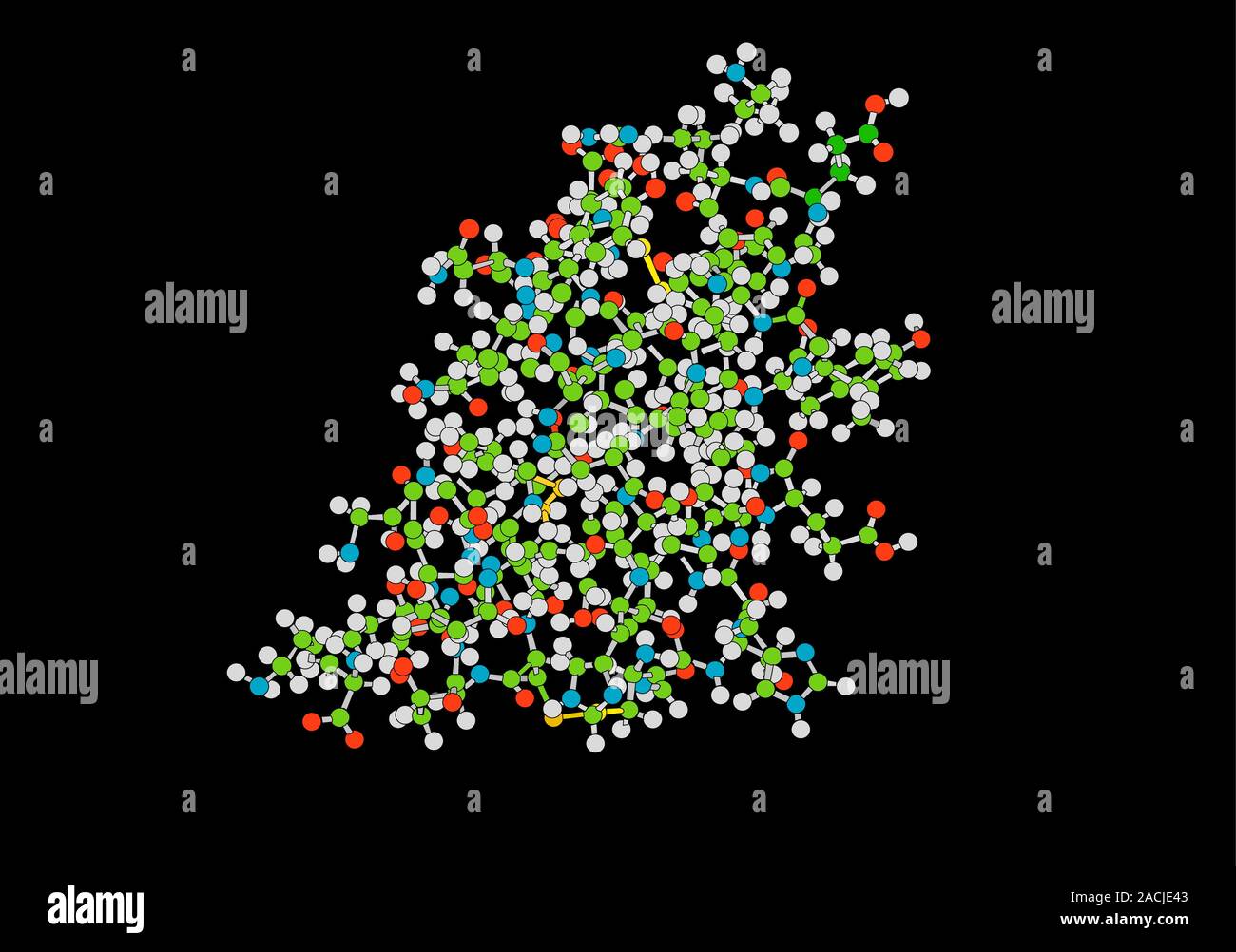 Insulin molecule. Computer model showing the structure of a molecule of ...