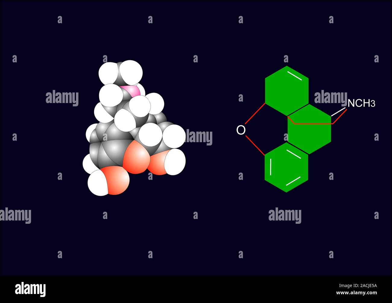 Morphine molecule. Computer model showing the structure of the opiate ...