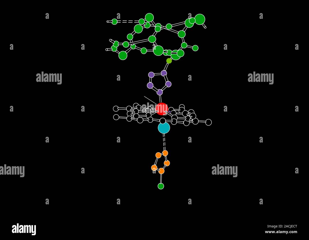 Heme group in haemoglobin. Artwork showing the heme group (centre) in ...