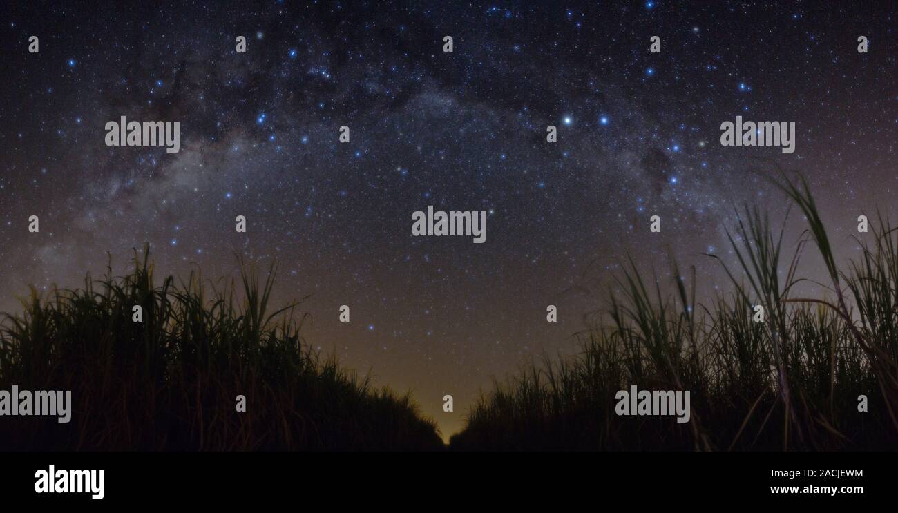 The Milky Way and Southern sky as seen from a sugarcane field in Rio de ...