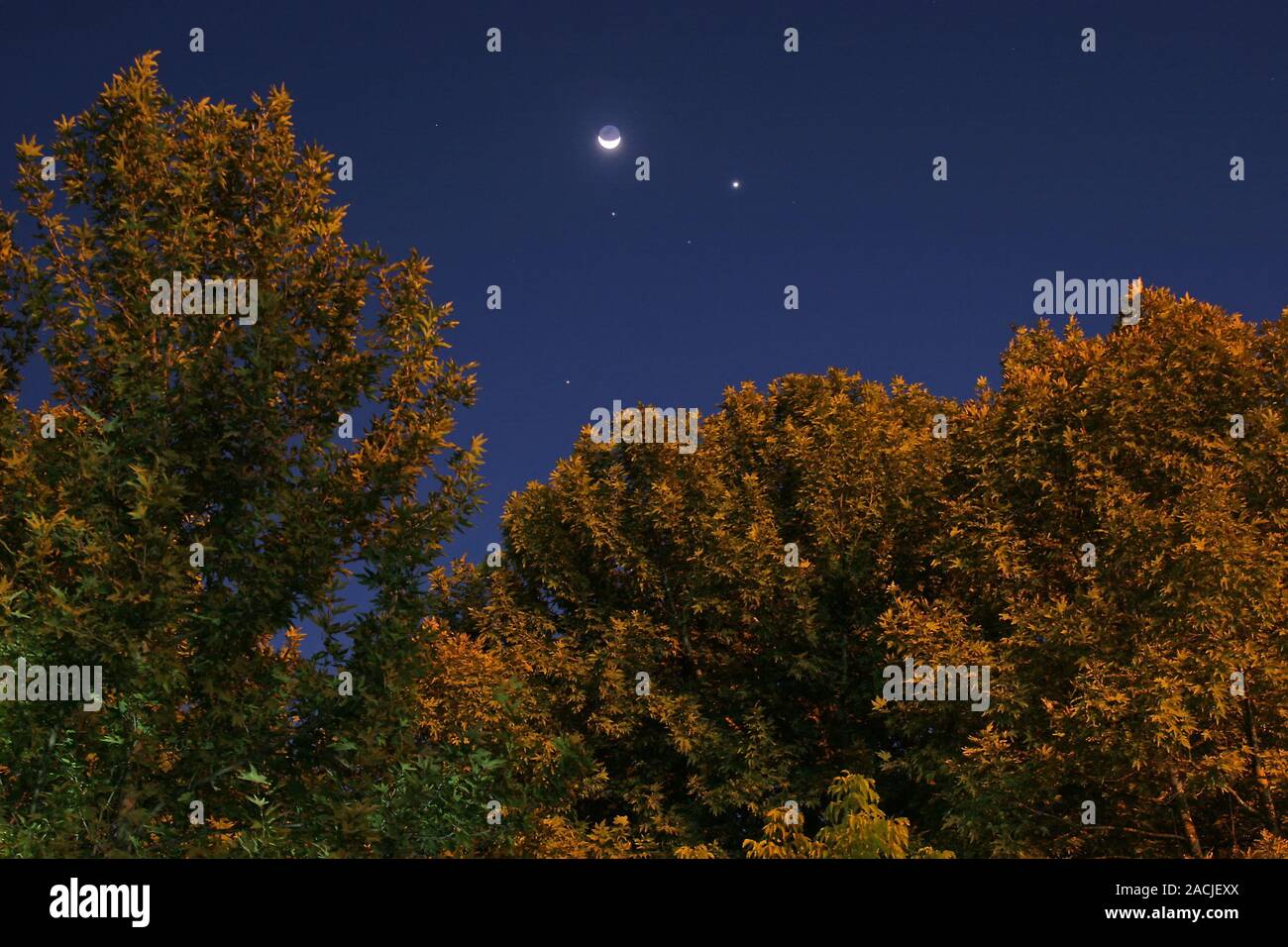 The morning crescent moon meets with planets Venus and Saturn as the ...