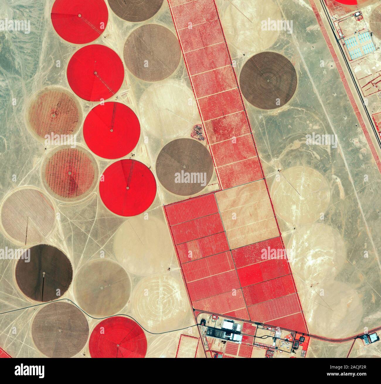 Tadco farm, Saudi Arabia, satellite image. 0.8-metre Ikonos satellite ...
