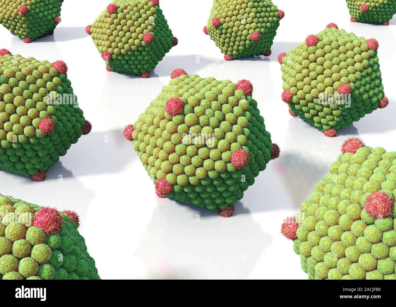 Icosahedral virus particles, computer artwork. Icosahedral viruses have ...