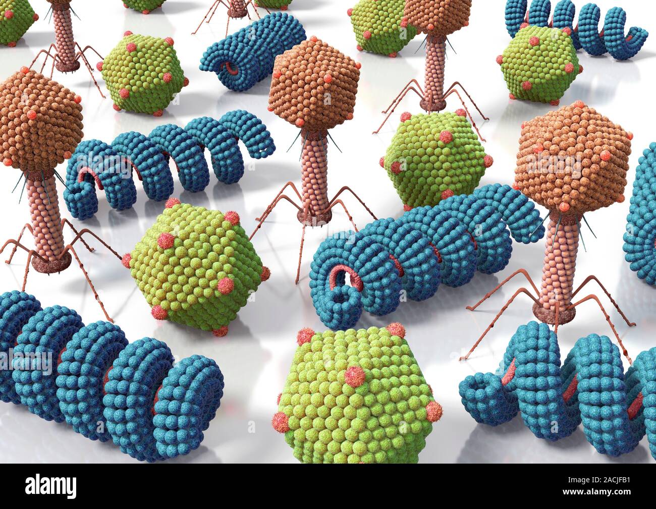 Viruses. Computer artwork showing three typical virus shapes: helical ...