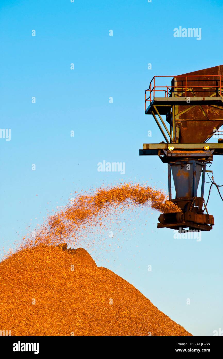 Wood chip production. Wood chips being produced at a sawmill. The chips ...