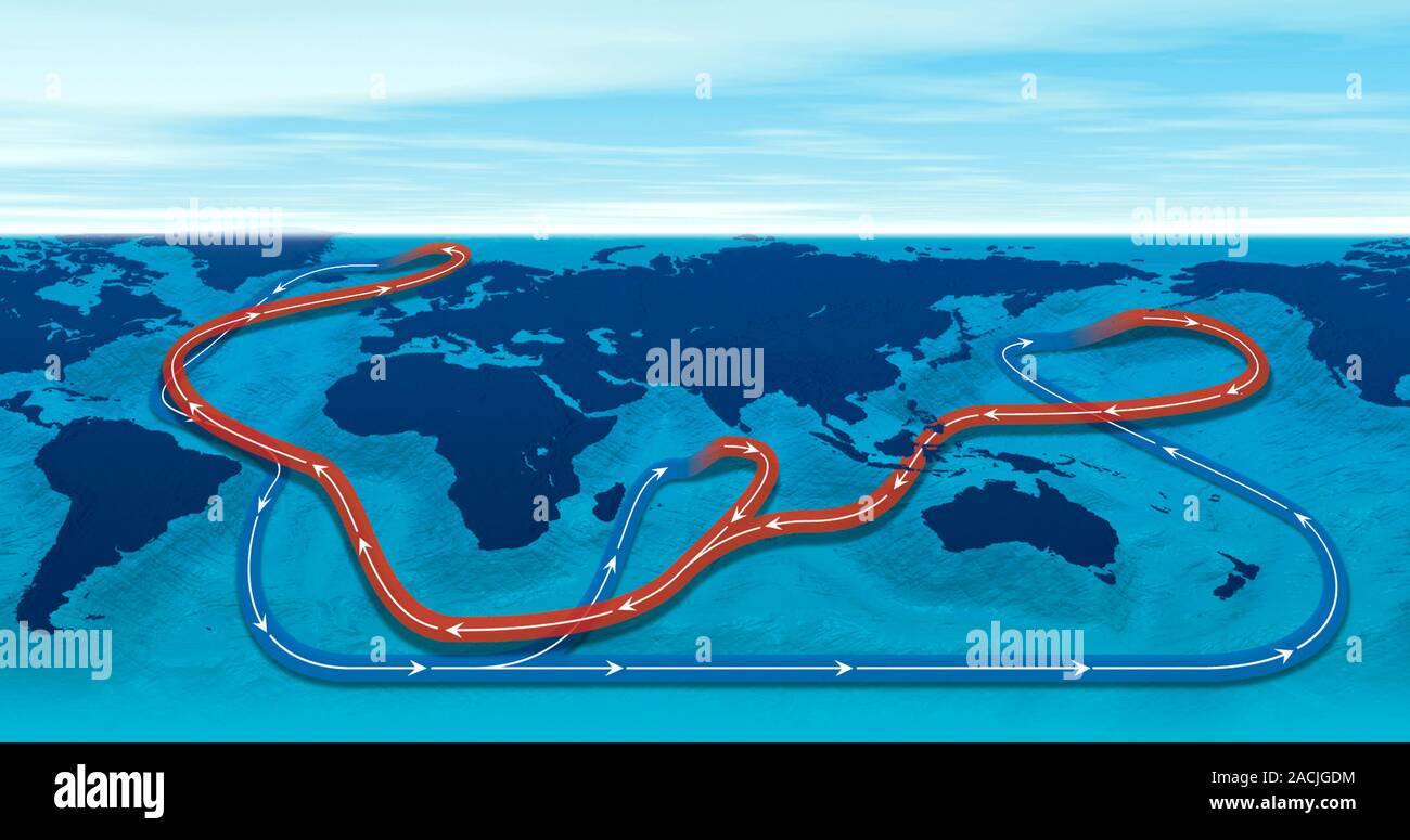 Ocean circulation. Computer artwork showing the general direction in ...