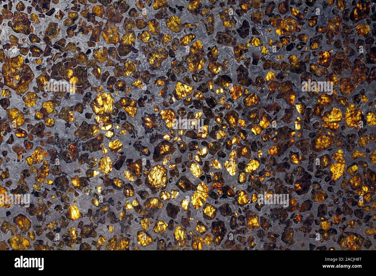 Pallasite meteorite. Close-up of the cut surface of a pallasite ...