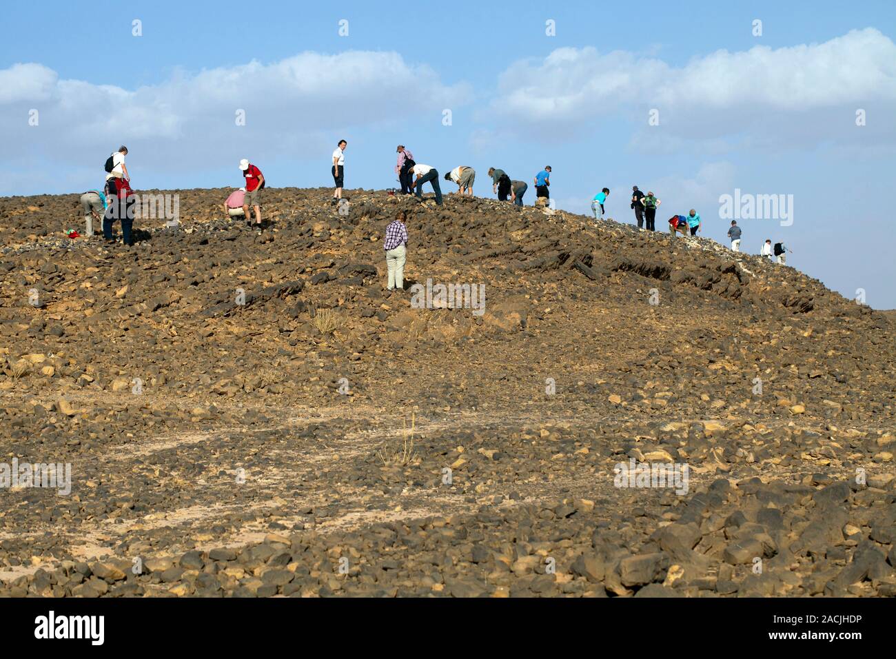 Fossil hunters. People searching for fossils on a hilltop Stock Photo ...