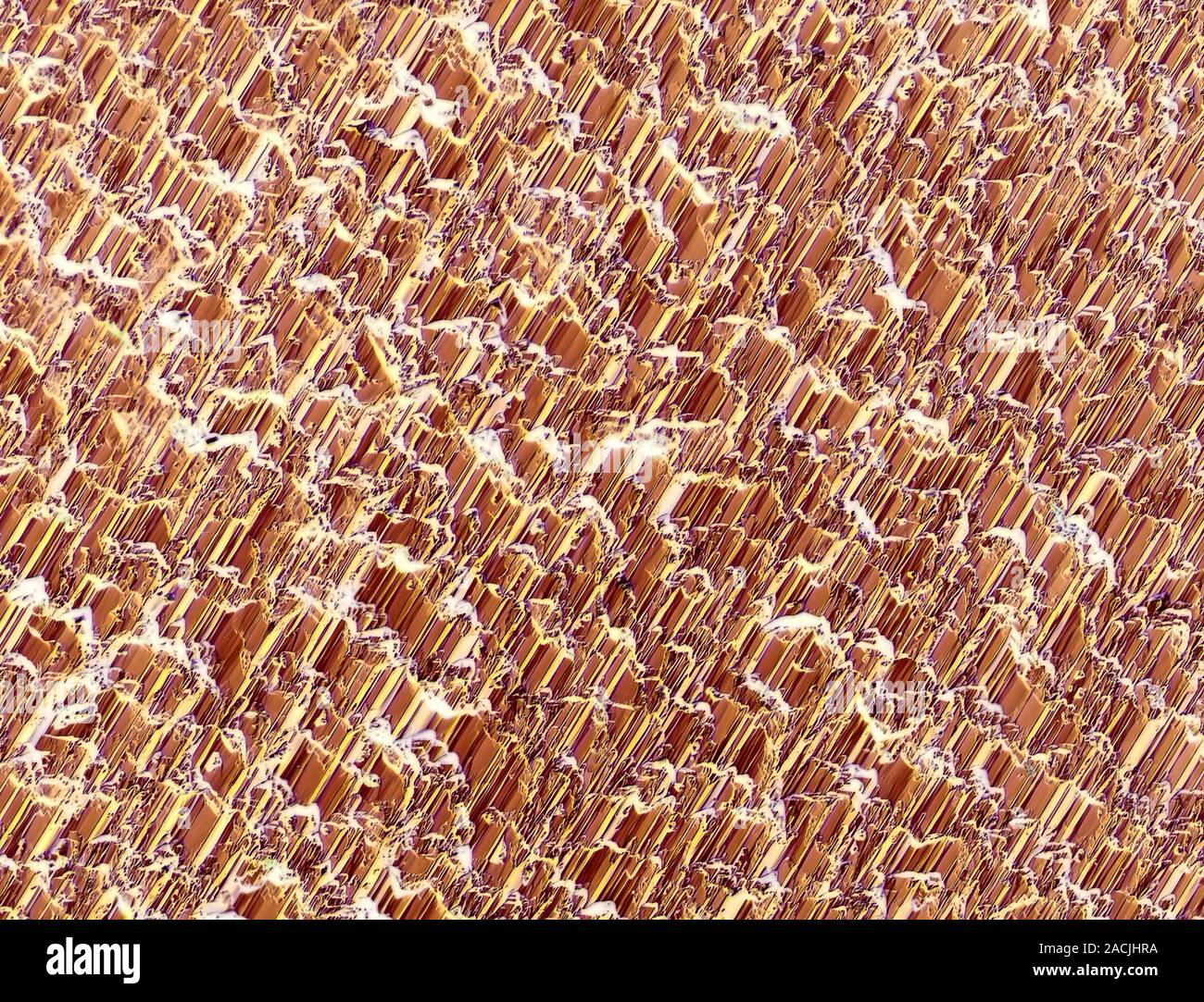 Solar cell. Micrograph of the surface of a solar (photovoltaic) cell ...