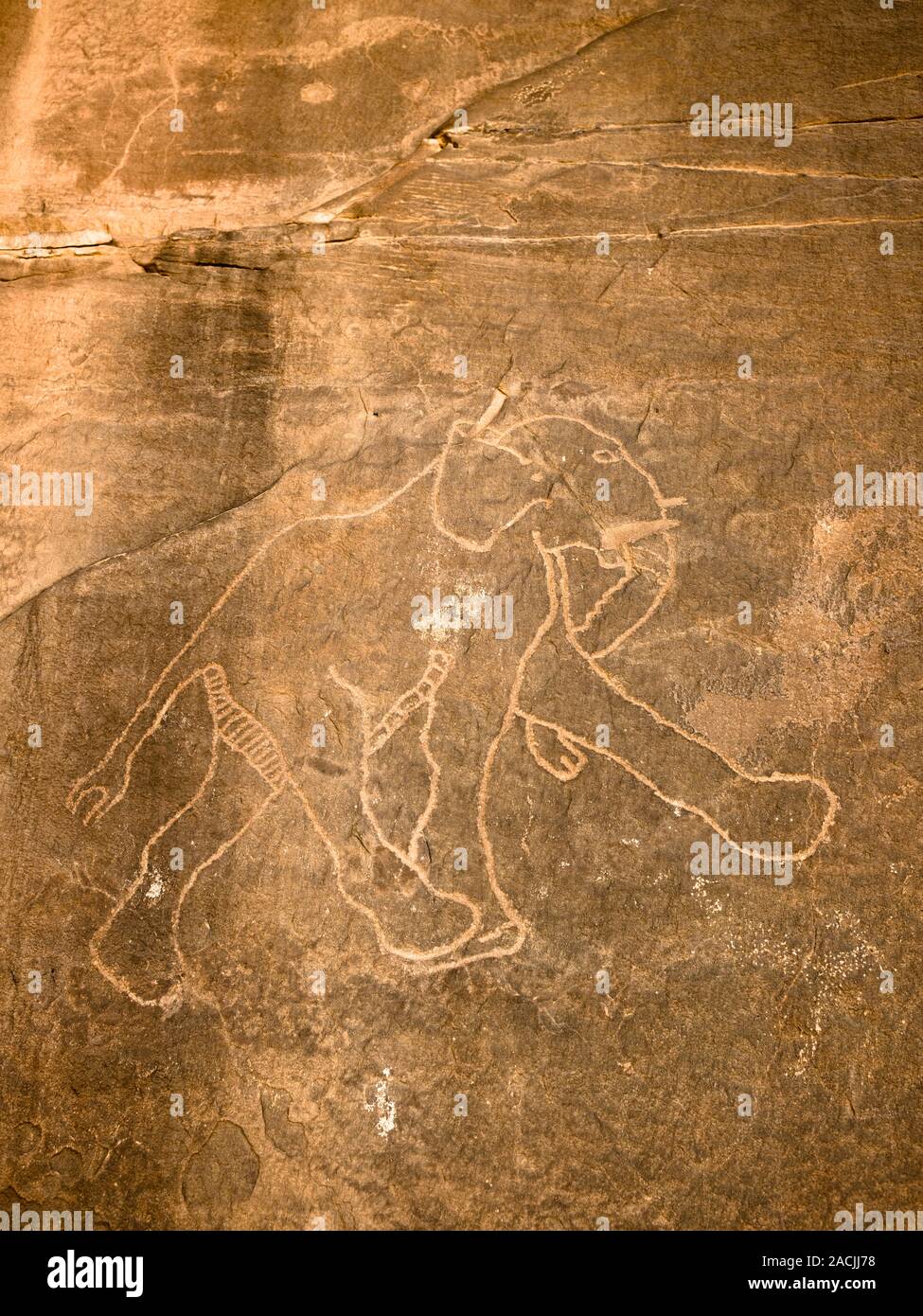 Petroglyph (rock engraving) of an elephant in the Tadrart-Acacus region ...