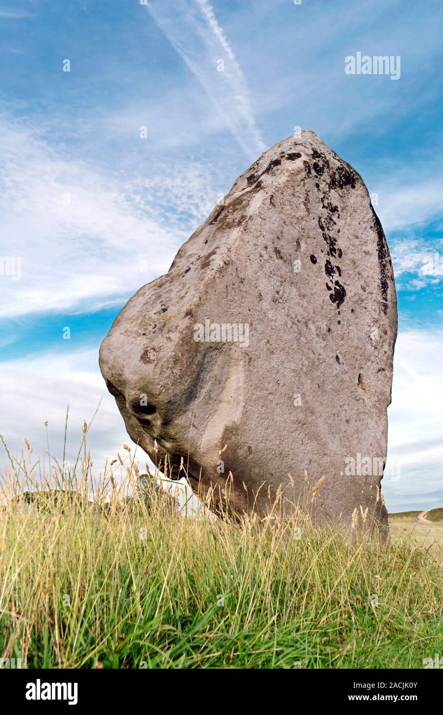 Neolithic standing stone. This stone is part of Avebury henge, a ...