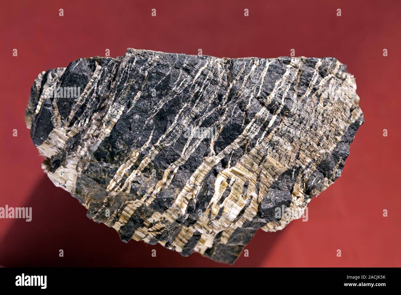 White asbestos in its host rock (grey). Asbestos refers to six natural ...