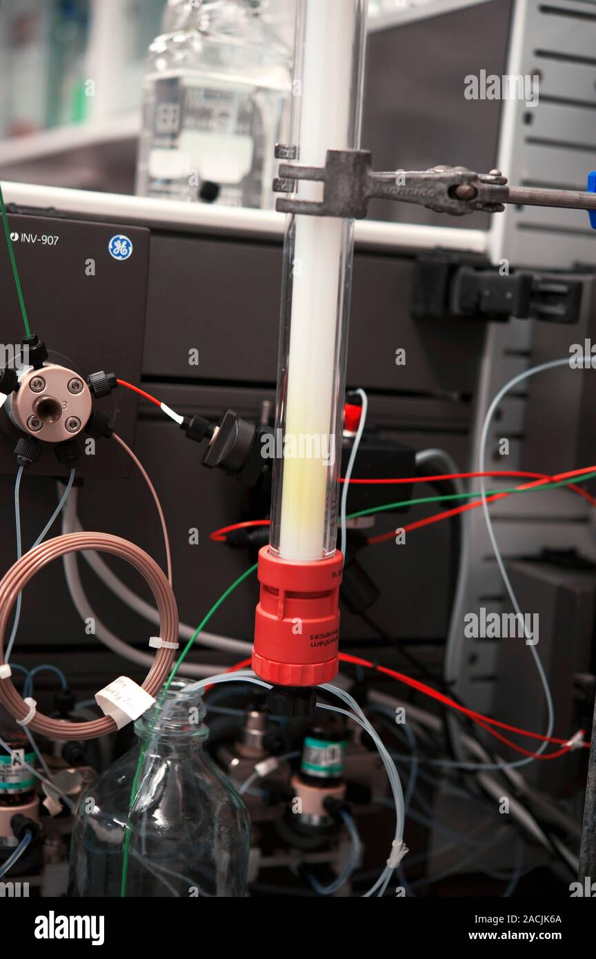 Protein research laboratory. Protein (yellow) separating within a ...