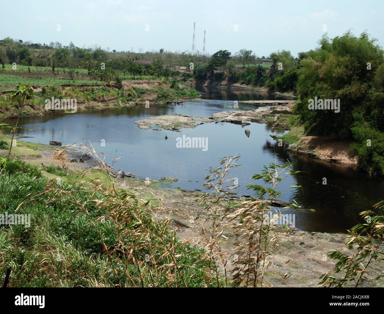 Bengawan Solo river. This section of the Solo river in Trinil, Java ...