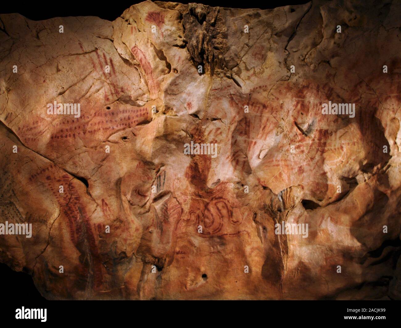 Stone-age cave paintings. Artwork depicting various animals on the wall ...