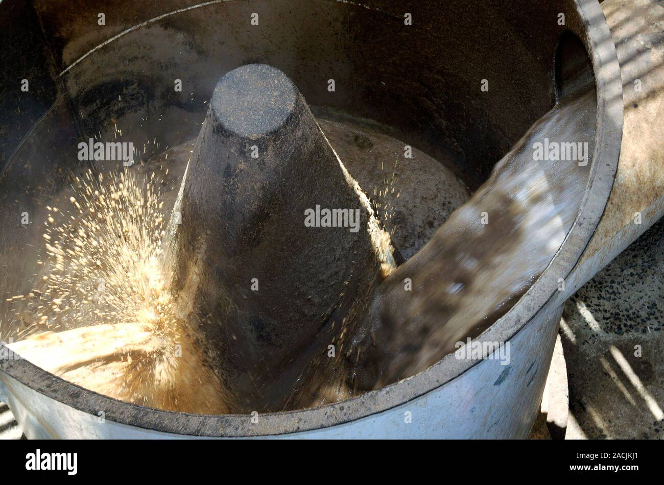 Biofuel production. Sugar cane being processed at a biofuel and sugar ...