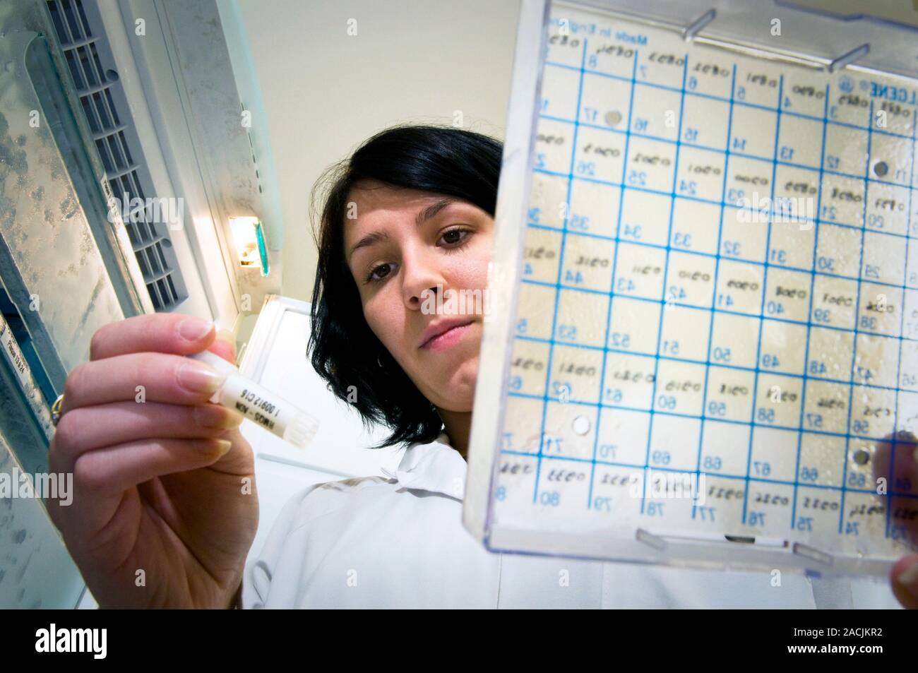 Soil bank. Scientist preparing soil samples for storage in a deep ...