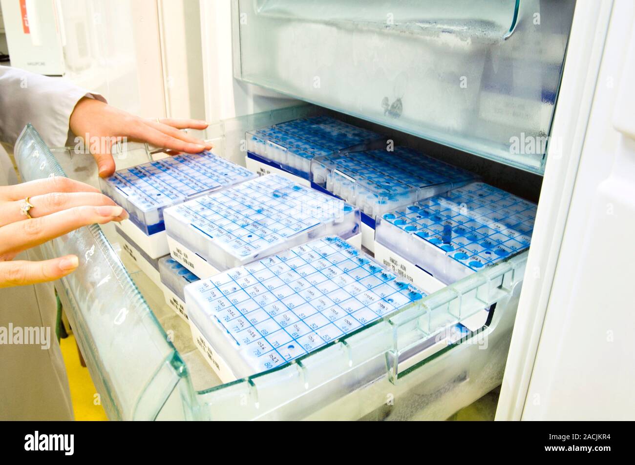 Soil bank. Scientist preparing soil samples for storage in a deep ...