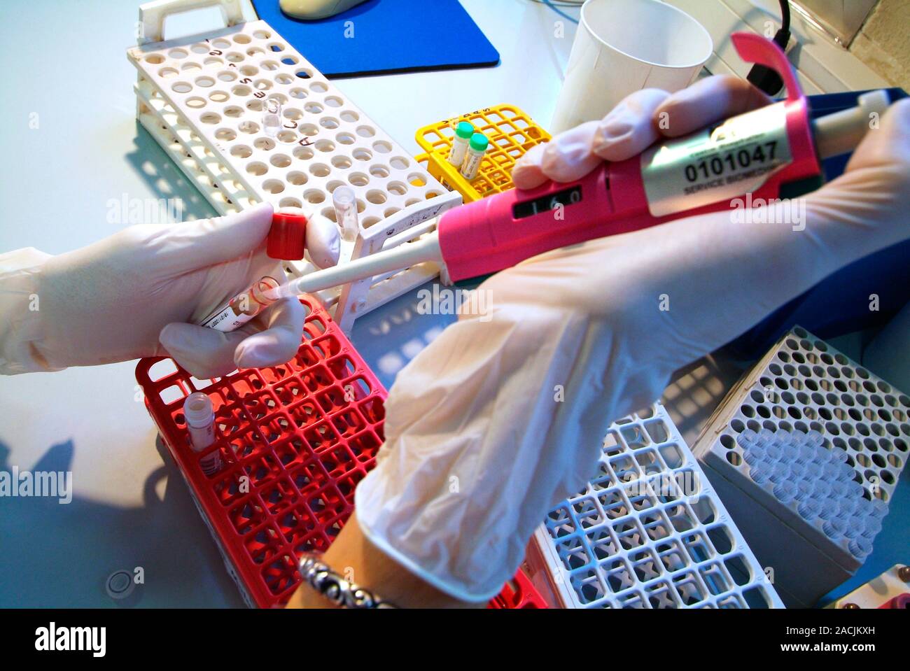 Biochemistry lab. Technician using a pipette to fill a sample tube for ...