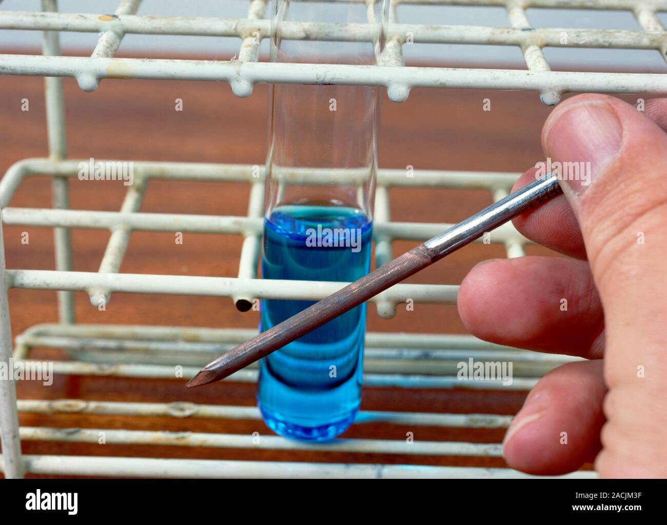 Iron in copper sulphate solution. Iron (Fe) nail coated in copper after ...