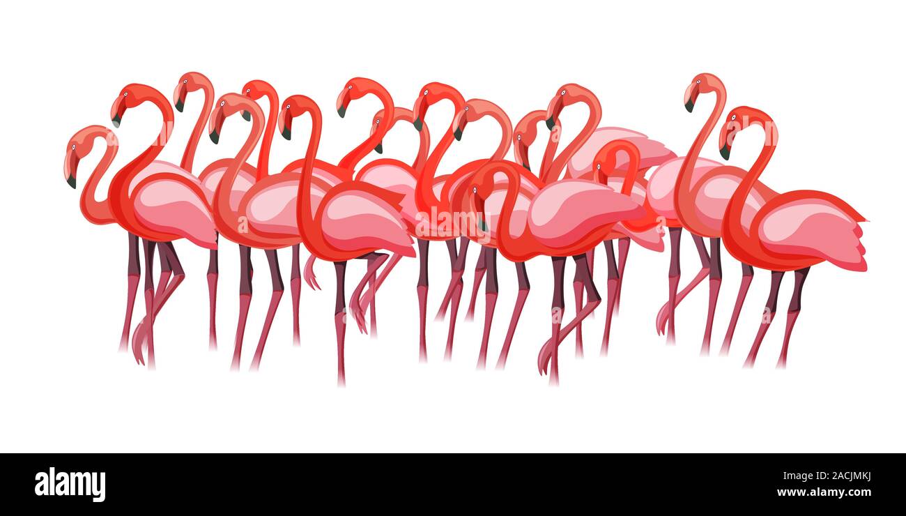 Exotic pink purple flamingo birds crowd group gathering flamboyance ...