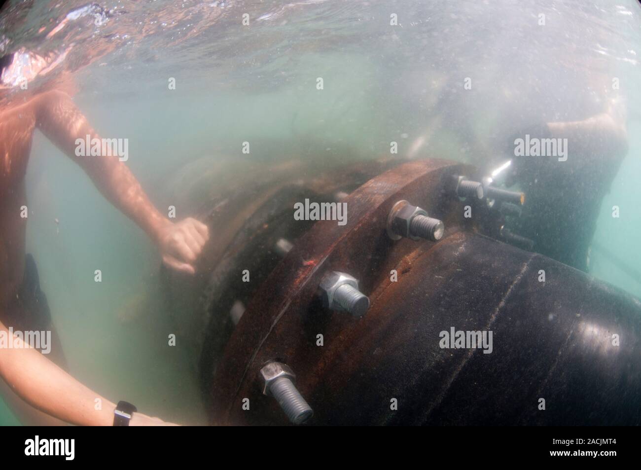 Workers laying a brine discharge pipe from a desalination plant on the ...