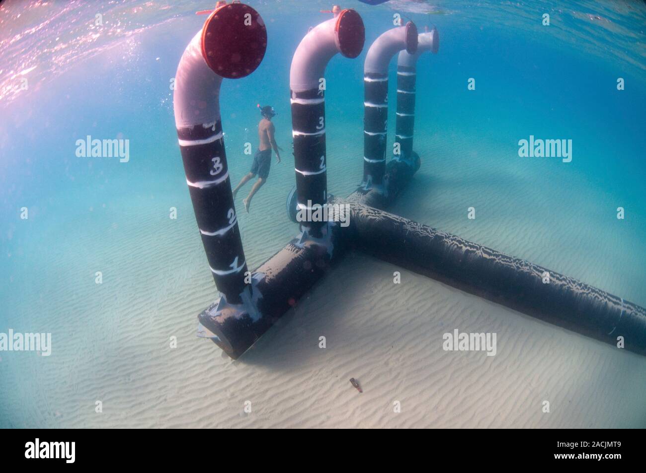 Brine discharge pipe and vent from a desalination plant on the seabed ...