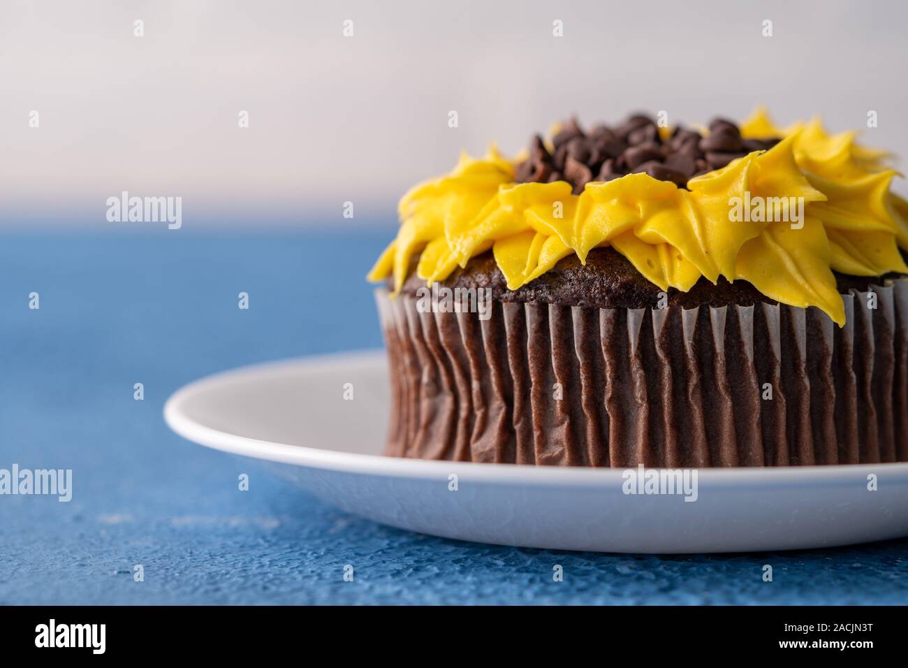 Beautiful sunflower decorated chocolate cupcake on blue background ...