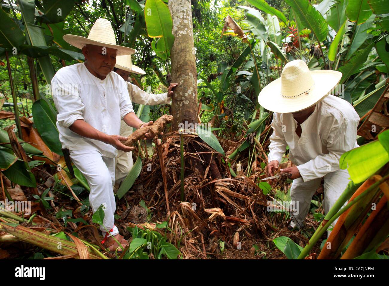 Mexican cave fishing. Local Zoque people in the jungles of southern ...